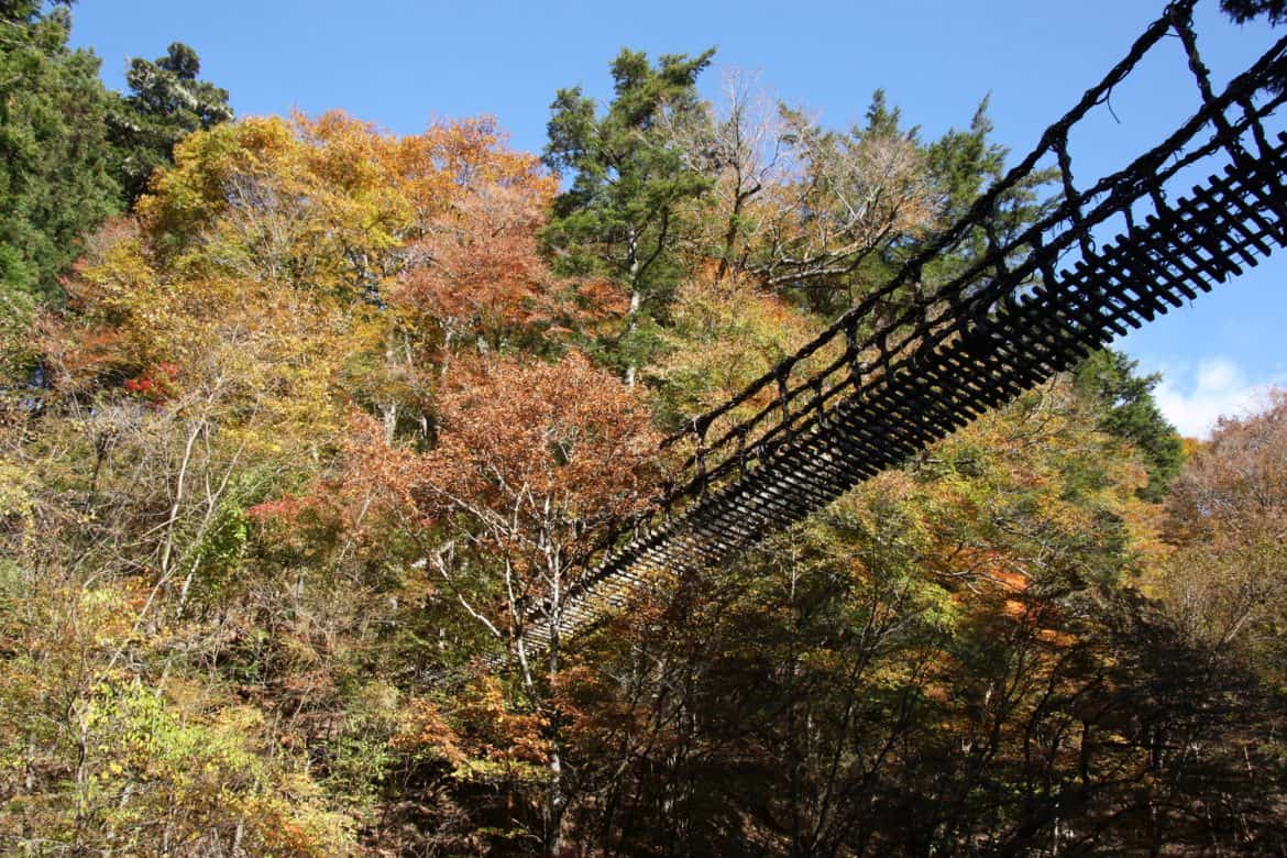 A Shikoku guide: wild beauty and cultural wealth in the eastern part of ...