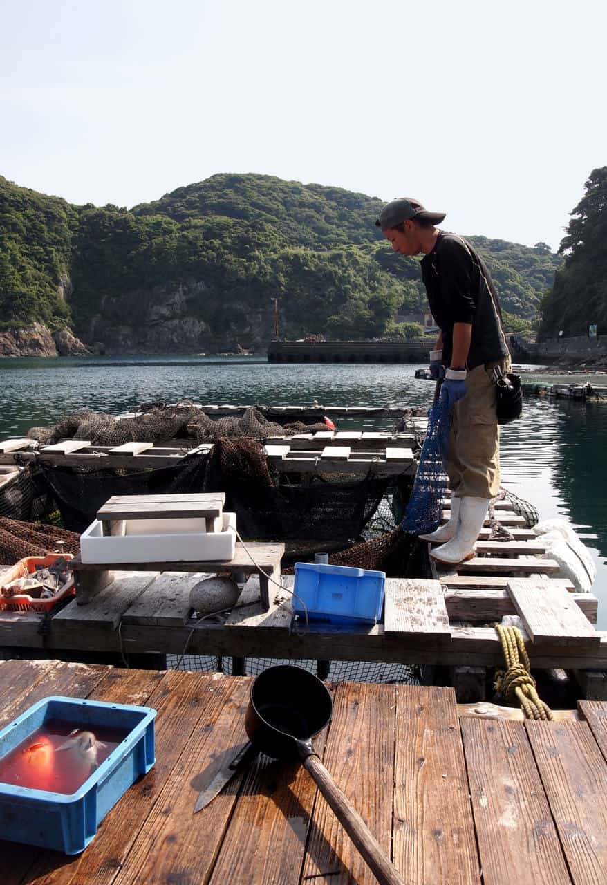 Oita's Magical Islands of Cats and Seashells - VOYAPON