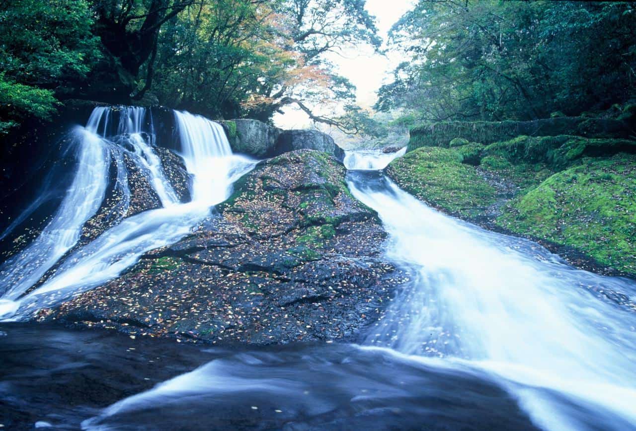 Forest Bathing In Rejuvinating Rural Japan - Kikuchi Gorge
