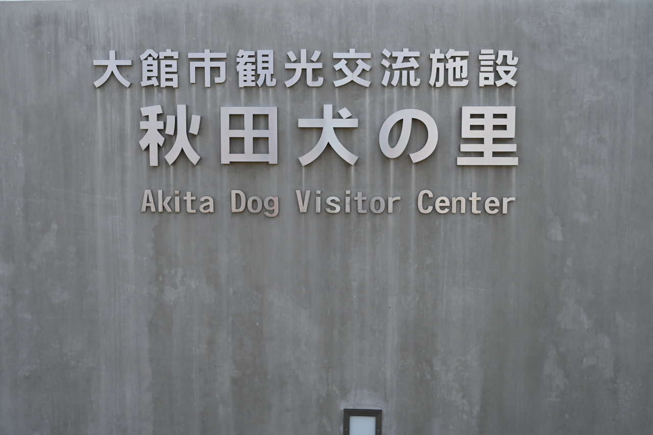 Akita Dogs in Japan: Hokkaido Stay with Japan's beloved dog