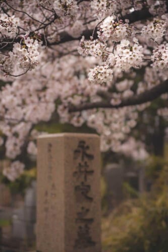 Death in Japan Through History: What Happens After You Die?