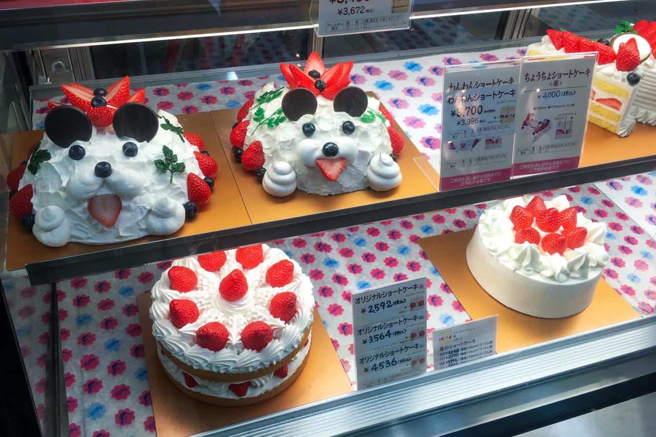 Japanese Cakes: What Are the Most Popular Pastries in Japan? - VOYAPON