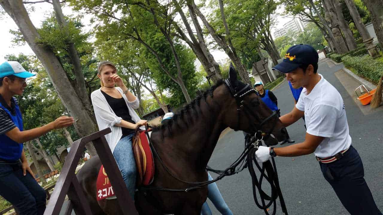 Horses in Japan: Best Places to Ride, See & Learn about Horses in Japan