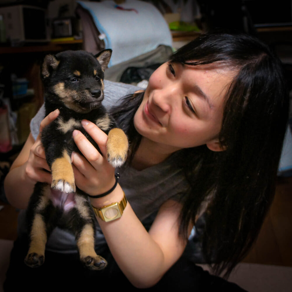 Japanese Dogs: The Most Popular Breeds & What they Cost?