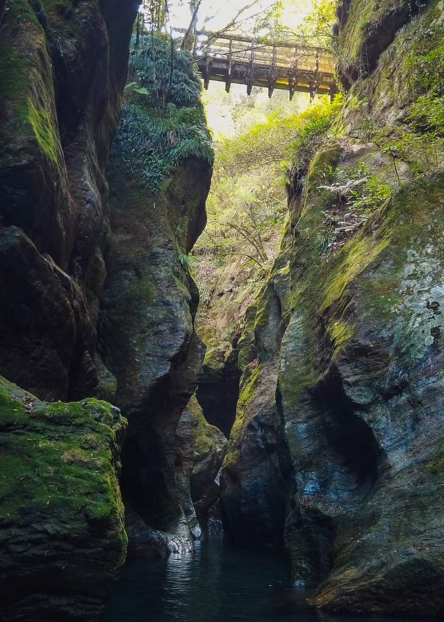 The Best Adventure Travel Experiences to Try on Japan's Shikoku Island