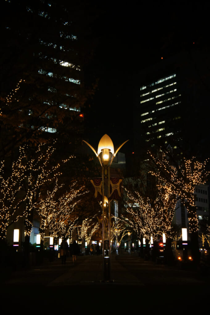 Kobe Luminarie: Discover Kobe during the Festival of Lights