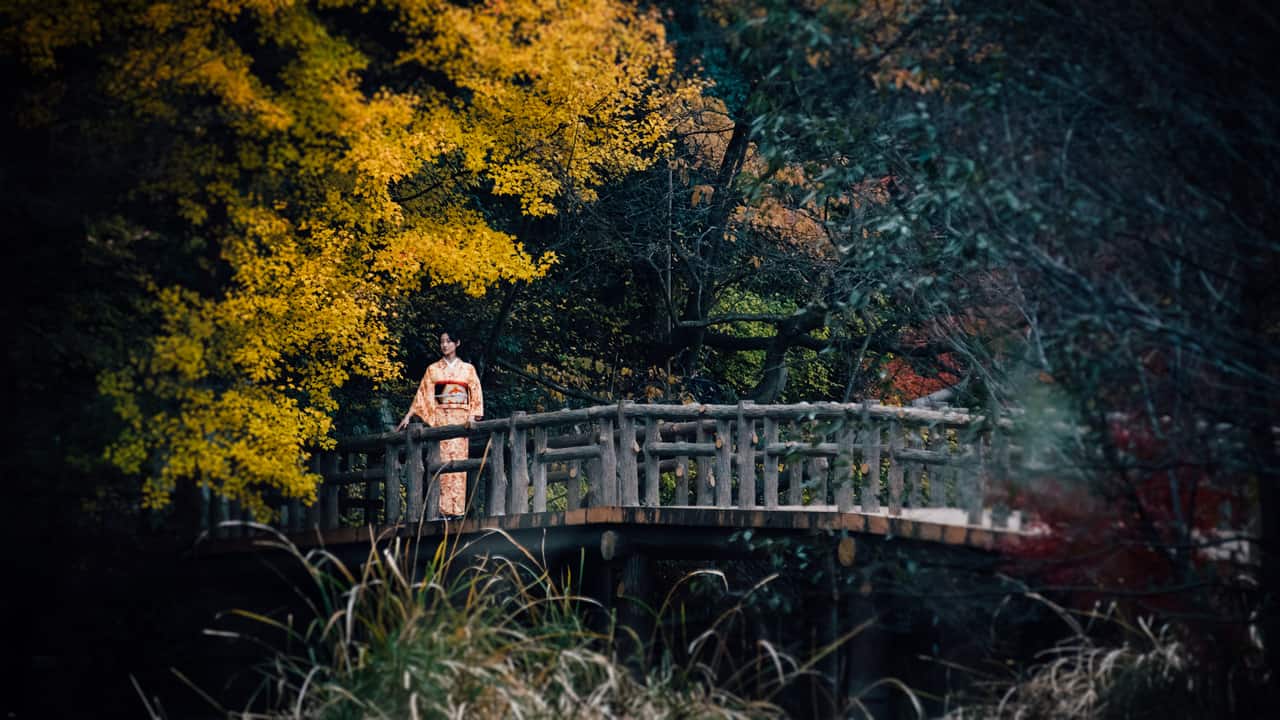 Seasons in Japan: A Guide to Weather and the Best Time to Visit